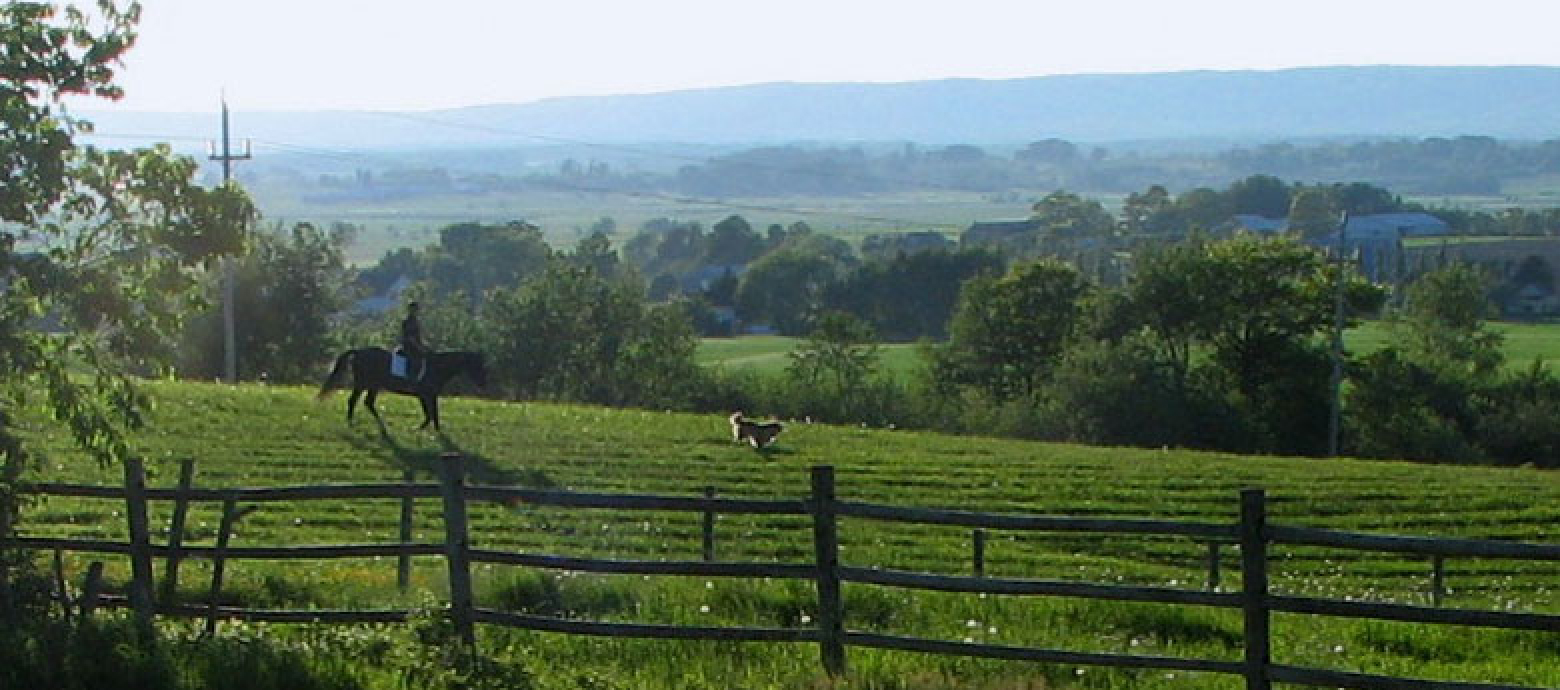 HOME - Sutton Hill Stables Lesson